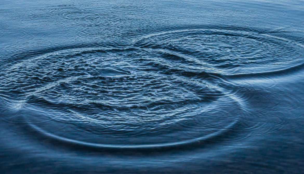 Purposeful Talent Development The Ripple Effect Of Individual